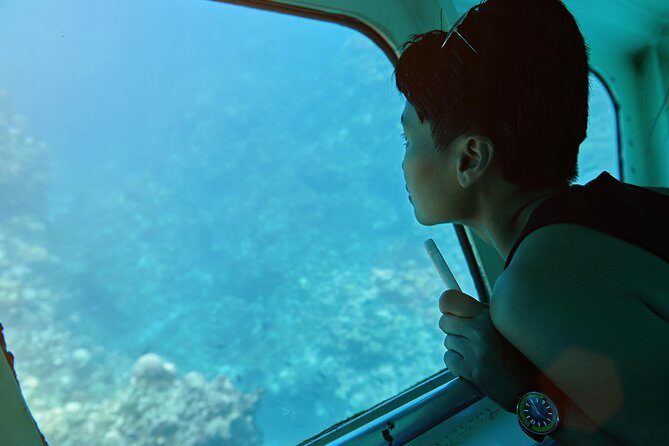 Odyssee 3: The Glass Bottom Boat Tour in Fuerteventura - The Sum Up