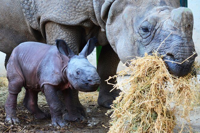 Offer Summer Terra Natura entrance ticket - Who Will Love This Tour?