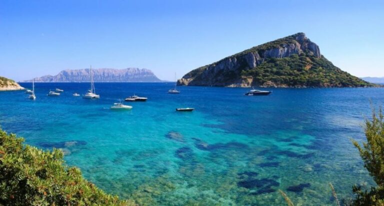 Olbia: Dolphin Watching and Snorkeling Boat Tour - Why This Tour Offers Excellent Value