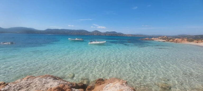 Olbia: Dolphin Watching & Swim with prosecco aperitif - A Closer Look at the Experience