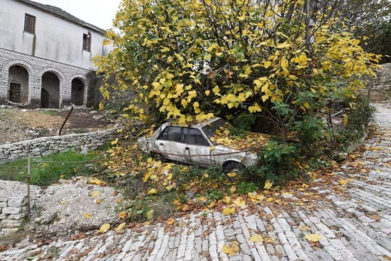 Old Bazaar-Cfake-Dunavat-Ali Pasha Bridge Walking Tour - What’s Included and Practical Details