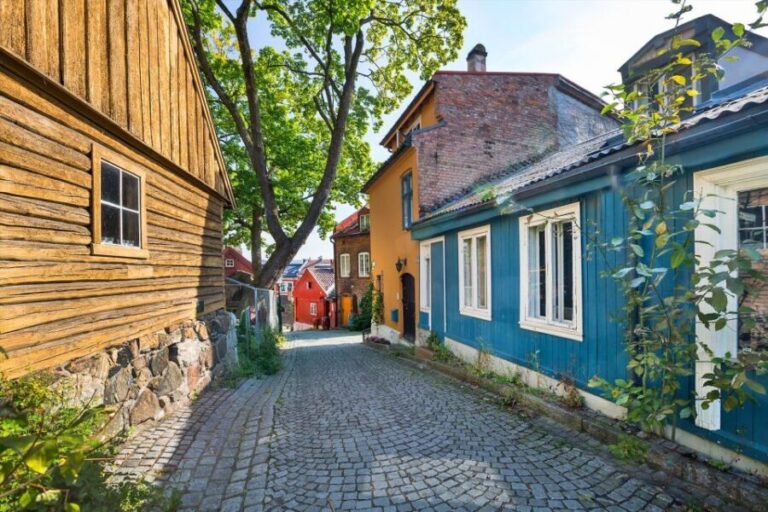Oslo: Norwegian Food Tour & Hidden Gems City Walk - Why This Tour Offers Real Value