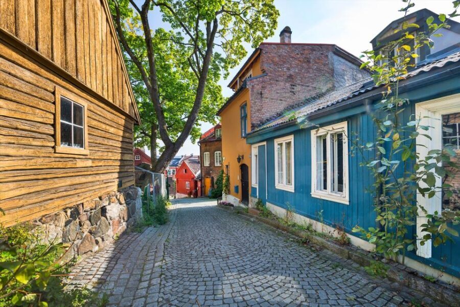 Oslo: Norwegian Food Tour & Hidden Gems City Walk - Why This Tour Offers Real Value