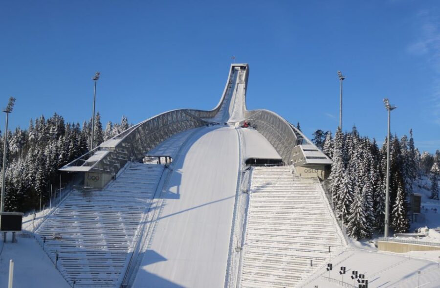 Oslo: Sightseeing with Holmenkollen Ski Jump & Vigeland Park - The Sum Up
