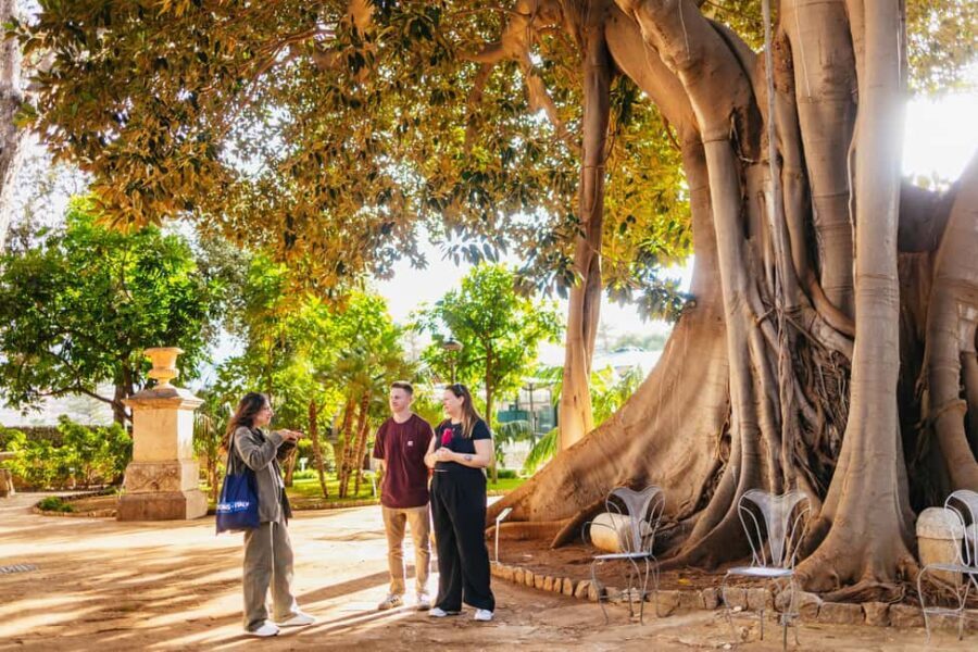 Palermo: Norman Palace and Palatine Chapel Tour with Tickets - A Breakdown of the Itinerary