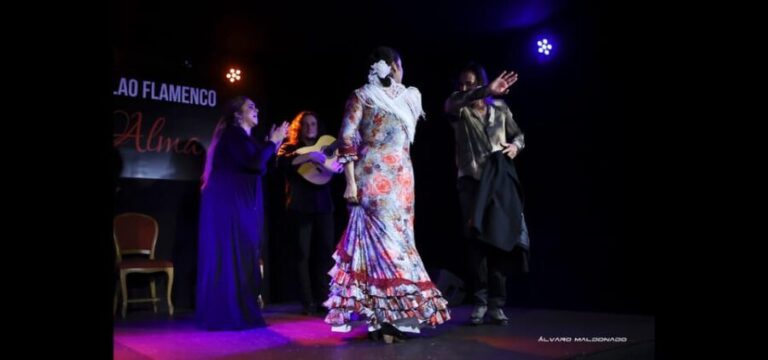 Palma: Flamenco Show at Tablao Flamenco Alma with Drink - An Authentic Flamenco Experience in Palma