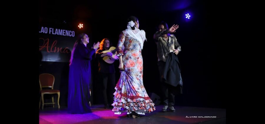 Palma: Flamenco Show at Tablao Flamenco Alma with Drink - An Authentic Flamenco Experience in Palma