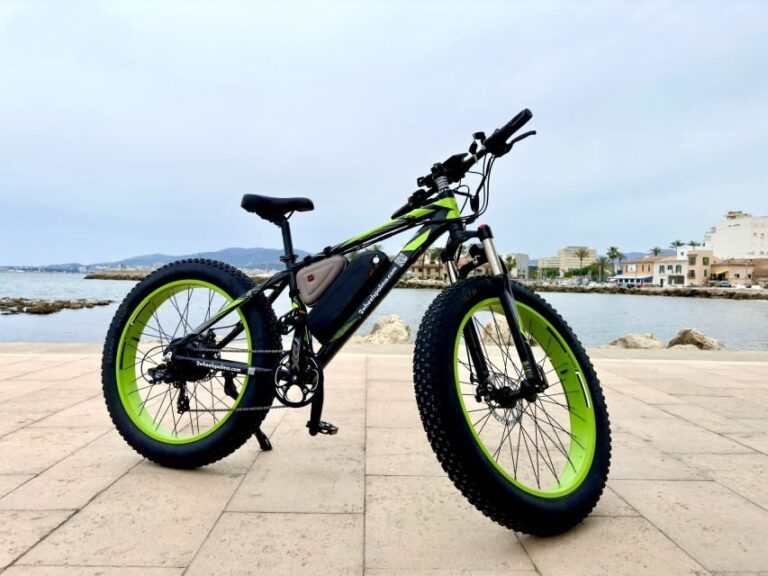 Palma: Guided City Tour with a Fat Tire E-Bike - Who Will Love This Tour?