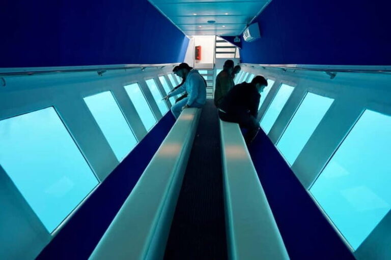 Paphos: Sunset Cruise, Turtle Watching, & Unlimited Drinks - The Experience: Whats Truly Valuable