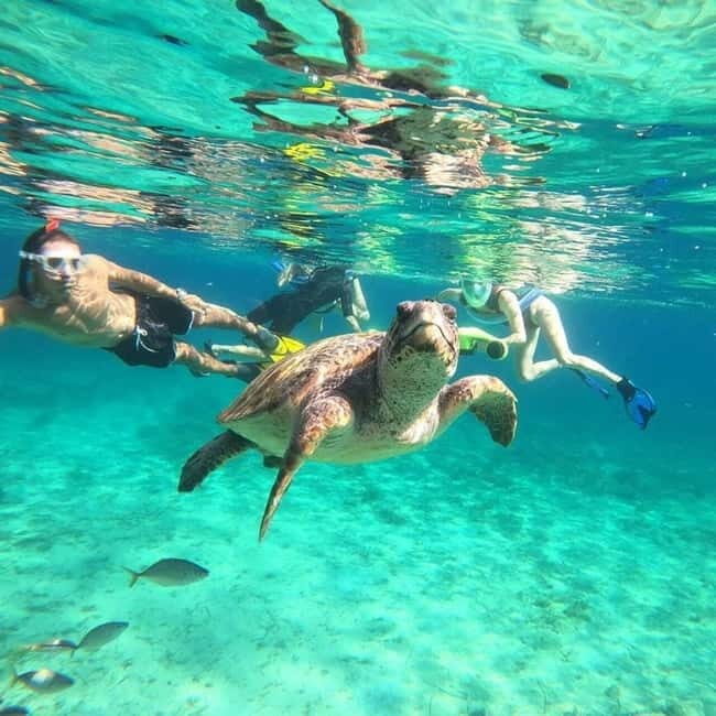 Paphos: Turtle-Watching Snorkeling Sea Scooter Trip - What Makes This Tour Special
