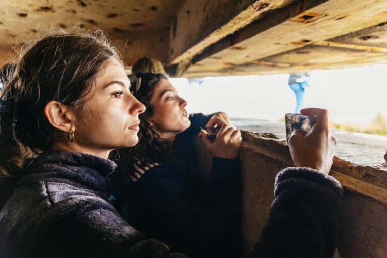 Paris: D-Day Landmarks and Mont Saint-Michel Guided Tour - What Makes This Tour Stand Out?