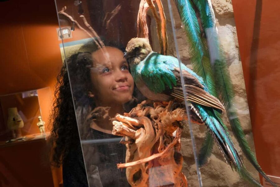 Paris: Entrance Ticket to the Chocolate Museum - The Practical Side: Details and Tips