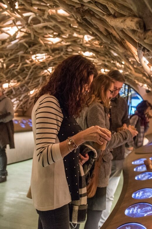 Paris: French Wine Experience in Parisian Cellar - Who Will Love This Tour?