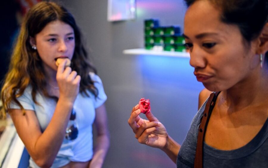 Paris: Notre Dame & Latin Quarter Food Tour with 8+ Tastings - A Deep Dive into the Experience