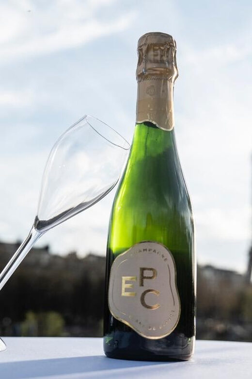 Paris: Seine River Sightseeing Cruise by Bateaux Mouches - Who Will Love This Tour?