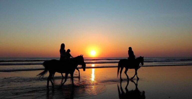 Paros: Morning Island Horseback Riding Adventure - What to Expect During the Tour