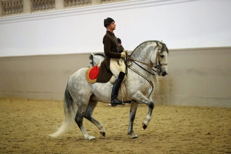 Performance Of The Lipizzans At Spanish Riding School - The Value Proposition