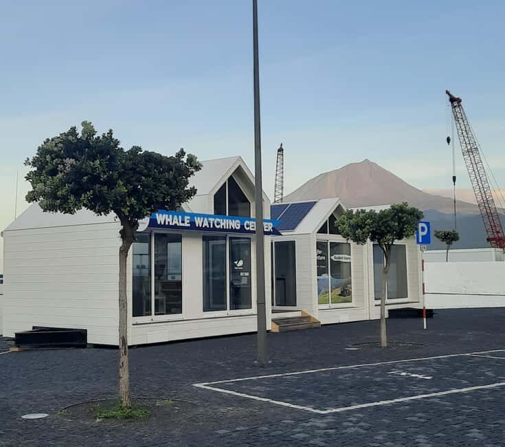 Pico Island: Azores Whale & Dolphin Watching on Zodiac Boat - The Practicalities