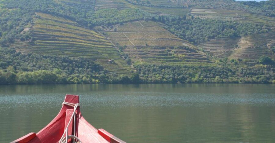 Pinhão: Rabelo Boat 1-Hour Tour - An In-Depth Look at the Pinhão Rabelo Boat Tour