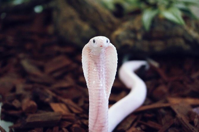 Planet Exotica entrance ticket - Final Thoughts