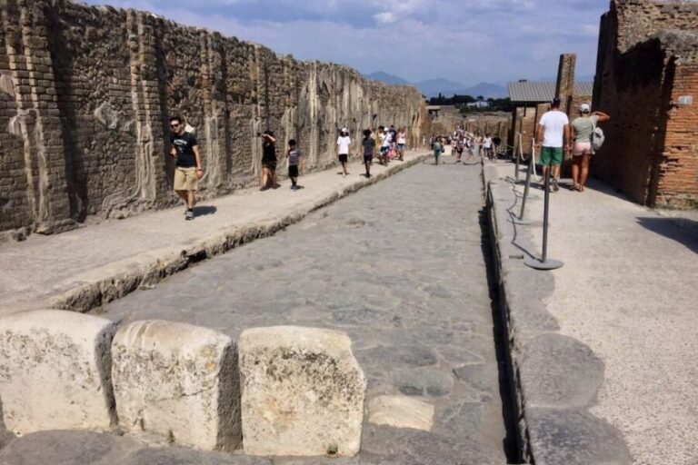Pompeii: Guided Walking Tour with Entrance Ticket - The Value of the Experience