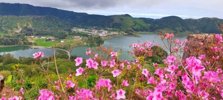 Ponta Delgada: Sete Cidades Volcano Lakes Shore Excursion - What makes this tour a standout?