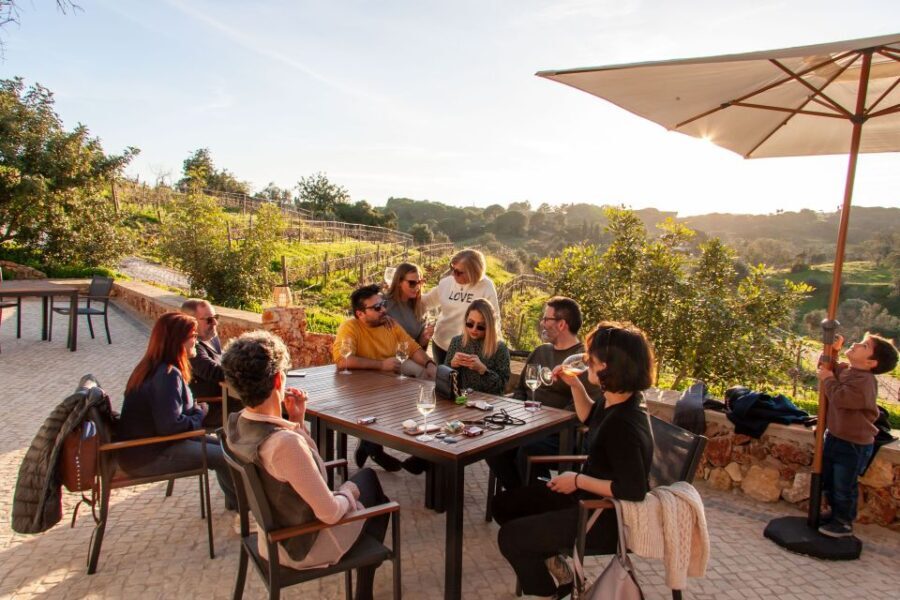 Porches: Algarve Vineyard Tour and Wine Tasting Experience - A Deep Dive into the Algarve Vineyard Tour