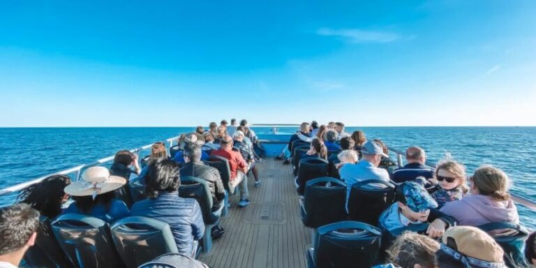 Portimão: Benagil Caves & Dolphins Watching with Biologist - Authentic Feedback from Reviewers