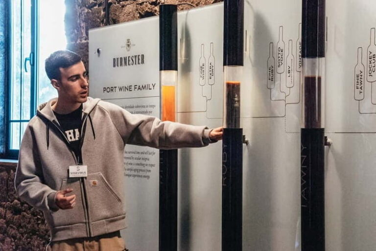 Porto: Bridges Cruise & Sunset & Port Wine Cellar Option - The Port Wine Cellar Addition