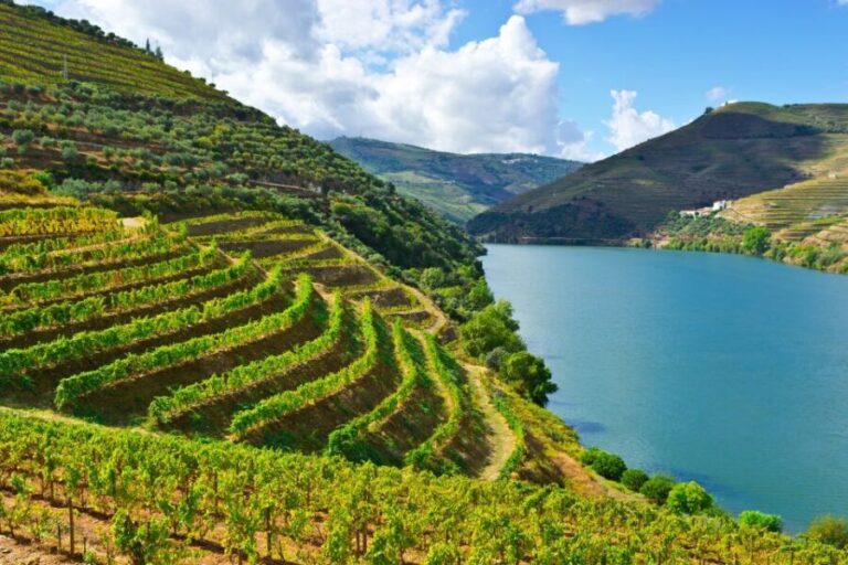 Porto: Douro Valley History & Wine Tour with Cruise & Lunch - The Balance of Value and Authenticity