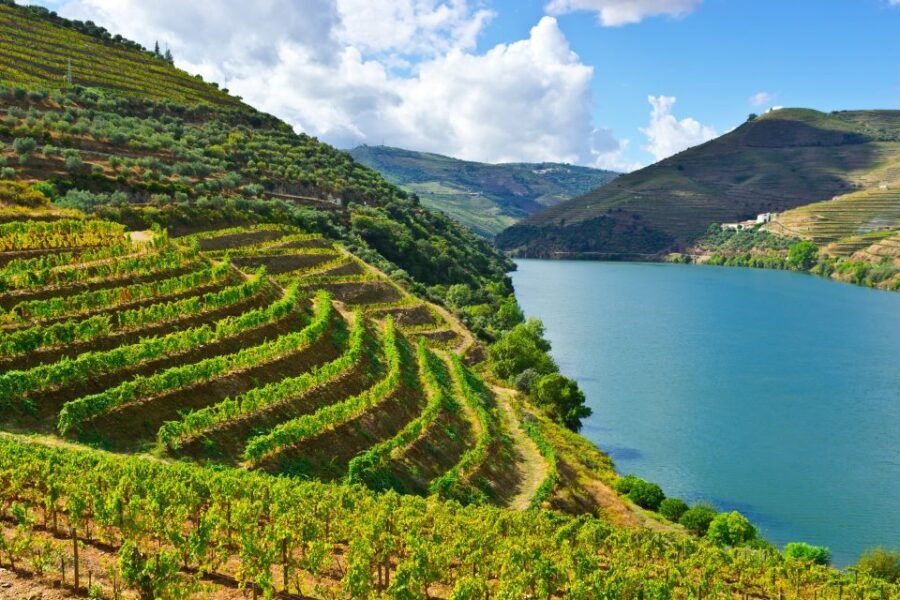 Porto: Douro Valley History & Wine Tour with Cruise & Lunch - The Balance of Value and Authenticity
