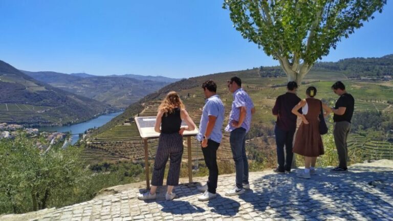 Porto: Douro Valley Wine Tour with Tastings, Boat, and Lunch - First Winery Visit: Port Wine Secrets