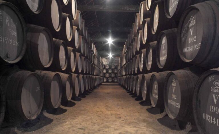 Porto: Graham's Port Lodge Tour with Premium Wine Tastings - Practical Details: What to Expect and Tips
