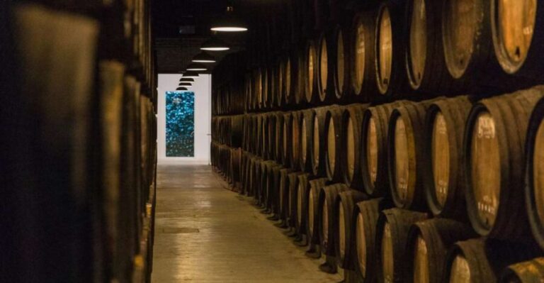 Porto: Guided Tour and Tasting of 3 Port Wines at Poças - The Itinerary: A Closer Look