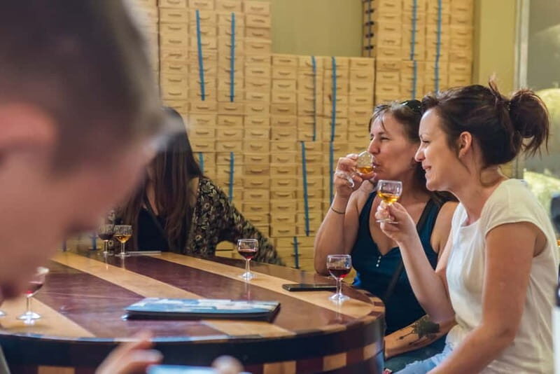 Porto: Magic Train Tour and Port Wine Cellar with Tastings - Who Will Love This Tour?