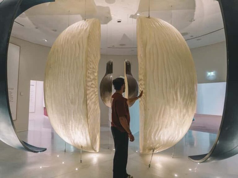 Porto: Taylors Port Cellar Tour & WOW The Wine Experience - Authentic Experiences and Insights