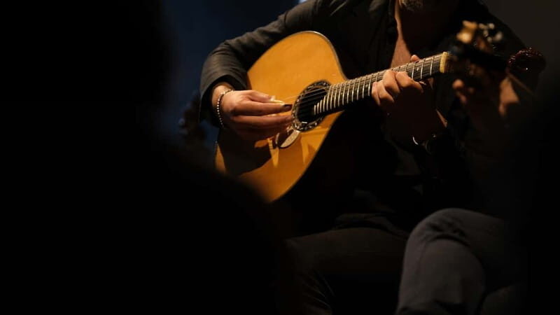 Porto: The highest-rated traditional fado concert (downtown) - What to Expect from This Fado Experience