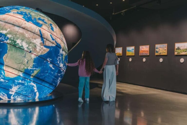 Porto: The Wine Experience, Best Wine Museum in the World - Real Visitor Insights