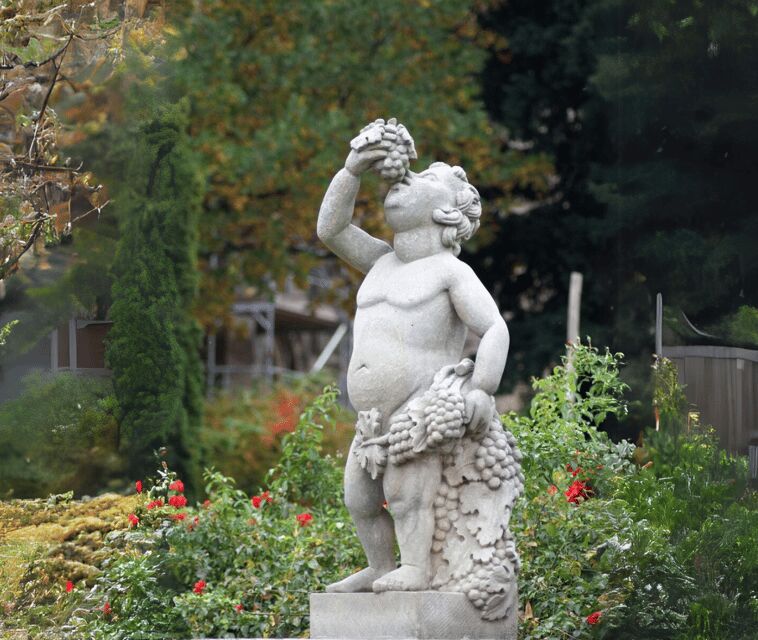 Premiumstadtführung (historische Altstadt und Schlossberg) - Practical Details and Value