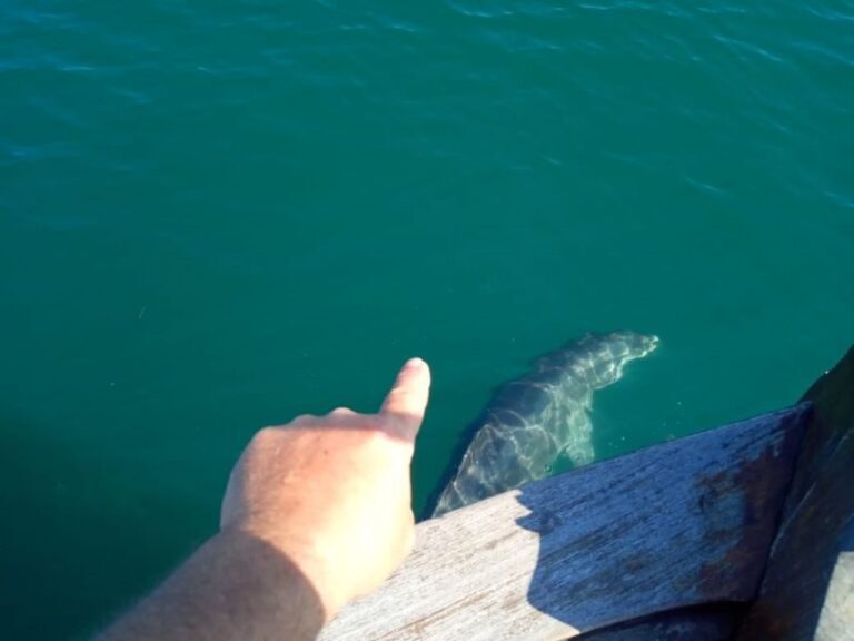 Preveza: Dolphin Watching Cruise with Lunch and Drinks - Frequently Asked Questions