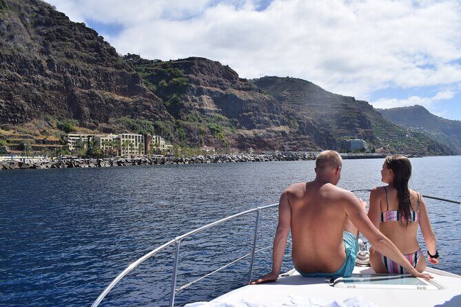 Private Dolphin and Whale Watching Tour in Madeira - The Itinerary in Detail