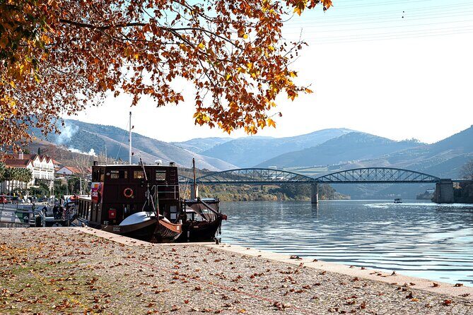 Private Douro Valley Tour: Boutique Winery & River Cruise - What Makes the Experience Unique?