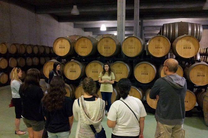 Private Douro Valley Wine Tour: 2 Wine Estates, Lunch and Cruise - The Value of This Tour