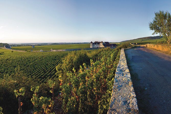 Private excursion to Côte de Beaune and Côte de Nuits (full day) - Final Thoughts