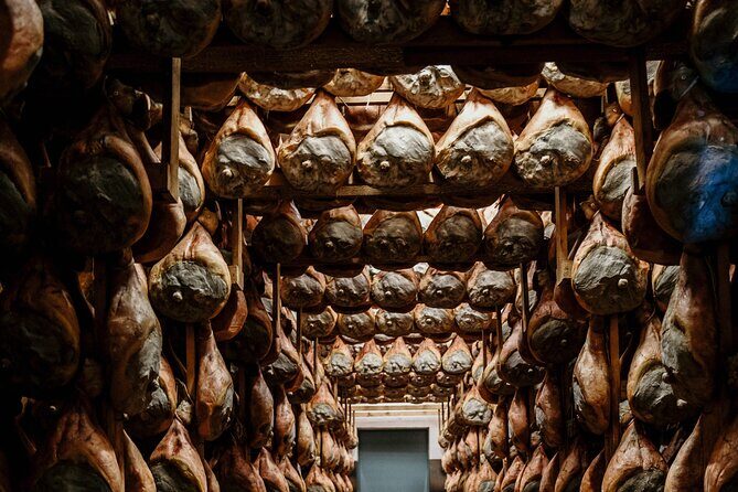 Private Full Day Parma Food Tour: Parmesan Cheese, Parma Ham, Lunch, Vinegar - The Practical Side: What Travelers Need to Know