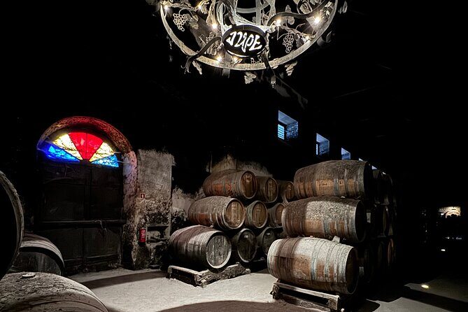 Private Full-Day Wine Tour from Lisbon with Tastings - Who Will Love This Tour?