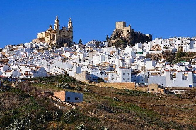 Private Guided Day Trip to the White Villages and Ronda from Seville - Transportation and Logistics