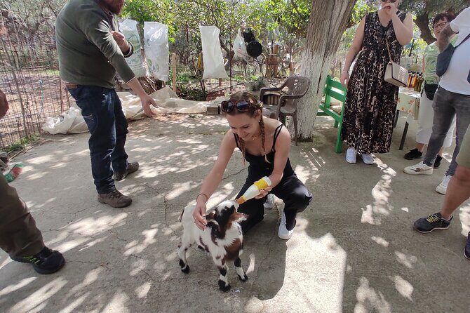 Private Jeep Tour - Zeus Cave - Cretan villages - An In-Depth Look at the Itinerary