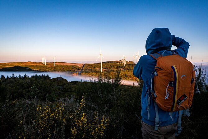 Private Tour | Full Day 4x4 Tour | Up to 6 Persons - The Itinerary: A Deep Dive into Madeira’s Highlights