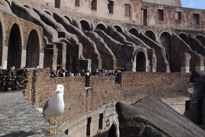 Private tour of Colosseo - Practical Details and Considerations